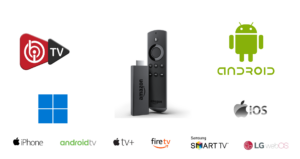 Setup Guide - WebTV Plus