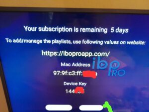 Best IBO Player Pro App Installation Guide [2023] - WebTV Plus